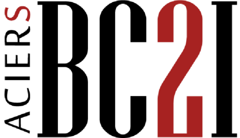 TÔLE PERFORÉE : ACIERS BC2I